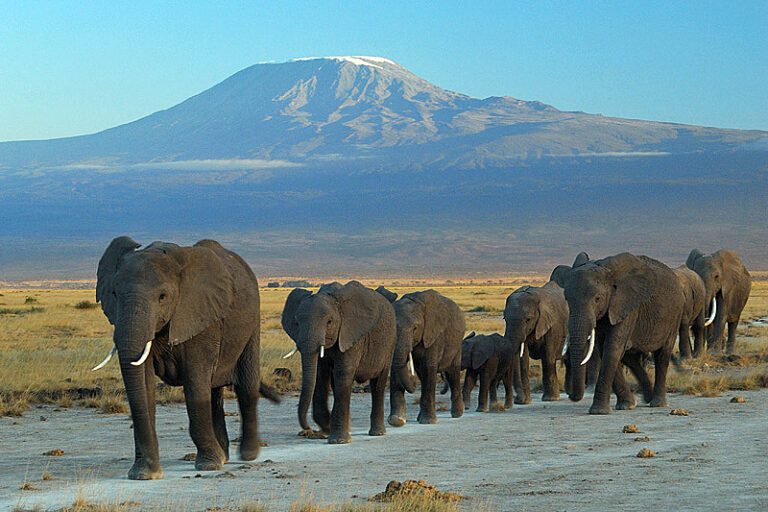 9.2 Sub-Saharan Africa – Guest Hollow