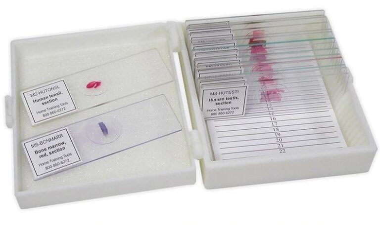 Guest Hollow’s High School Human Anatomy and Health Curriculum Book and ...